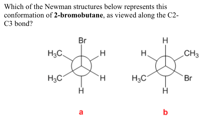 Solved Which of the newman structures below represenst this | Chegg.com