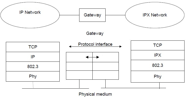 Solved 1- An IP network is connected to a Novell IPX via a | Chegg.com