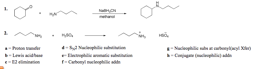 Solved O. O NH2 OH NH NH2 CH3 OH NHCH3 NH3 OgCCH2CH20% s OH | Chegg.com