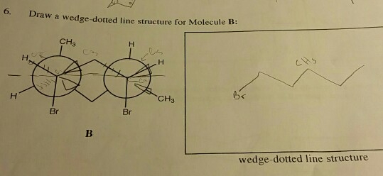 Solved Draw a wedge-dotted line structure for Molecule B: | Chegg.com