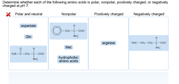 Solved Determine whether each of the following amino acids | Chegg.com