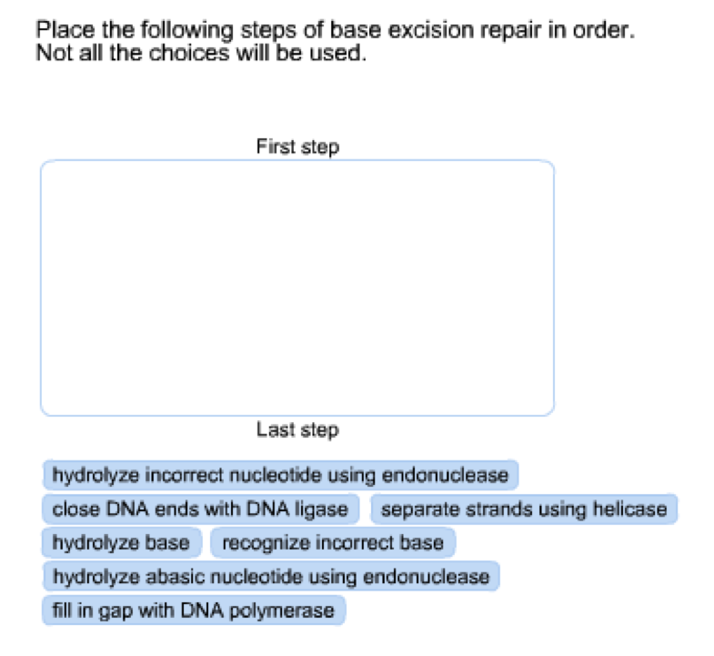 Solved Place the following steps of base excision repair in | Chegg.com