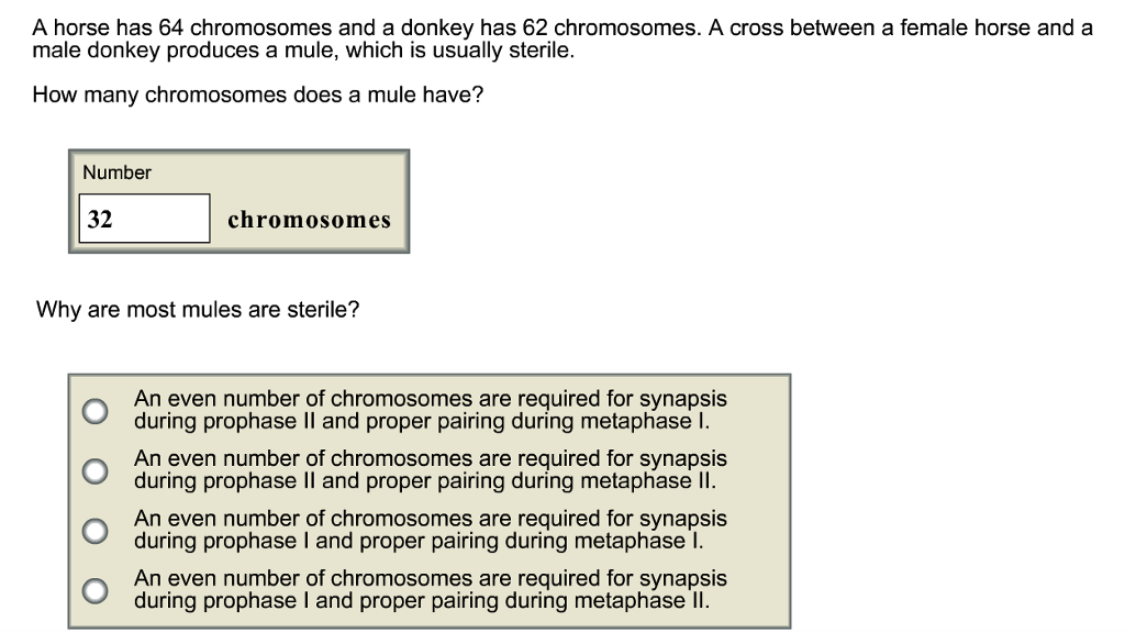 Solved A horse has 64 chromosomes and a donkey has 62 | Chegg.com