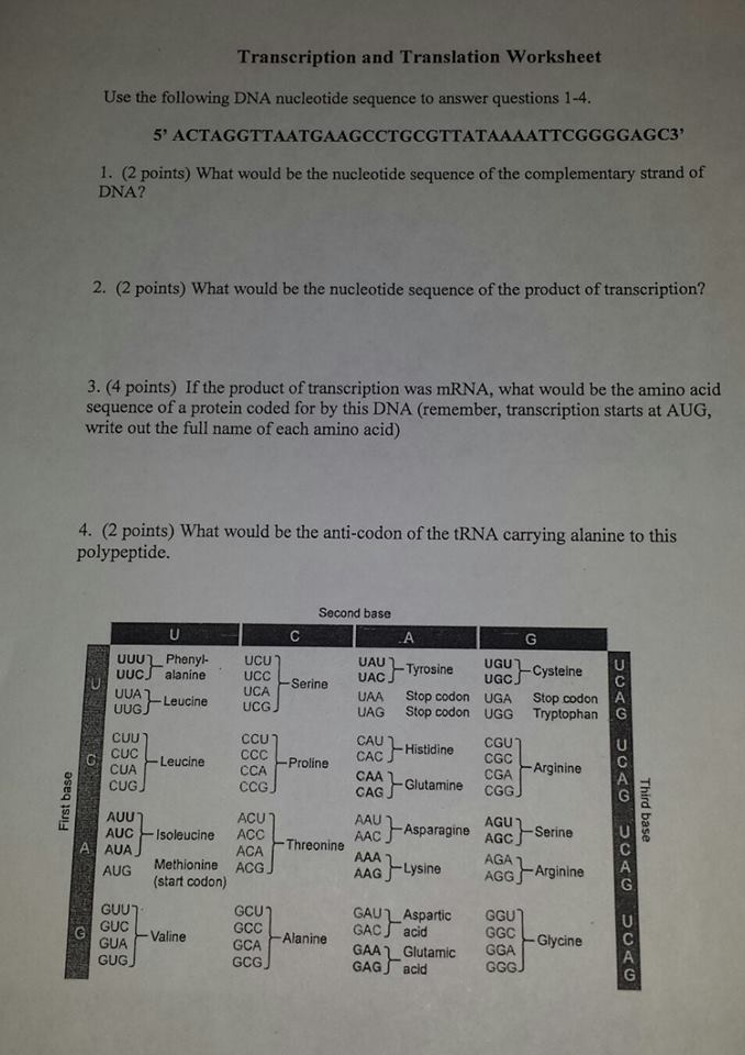 Solved Use the following DNA nucleotide sequence to answer | Chegg.com