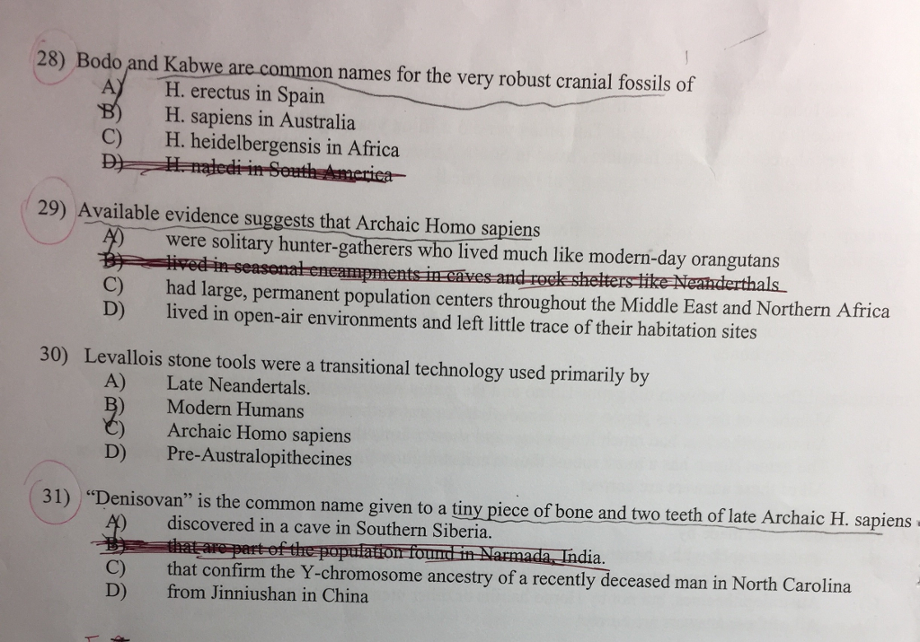 Solved 27) All C hines have prehensile tails bony ear tubes | Chegg.com