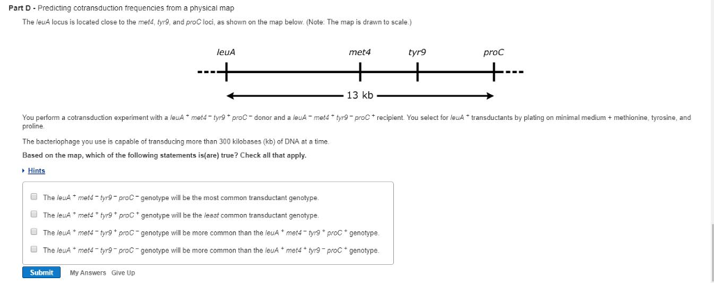 Solved Part D Predicting cotransduction frequencies from a | Chegg.com