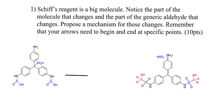 Solved Schiff's reagent is a big molecule. Notice the part | Chegg.com