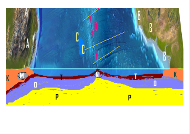 Solved O O | Chegg.com