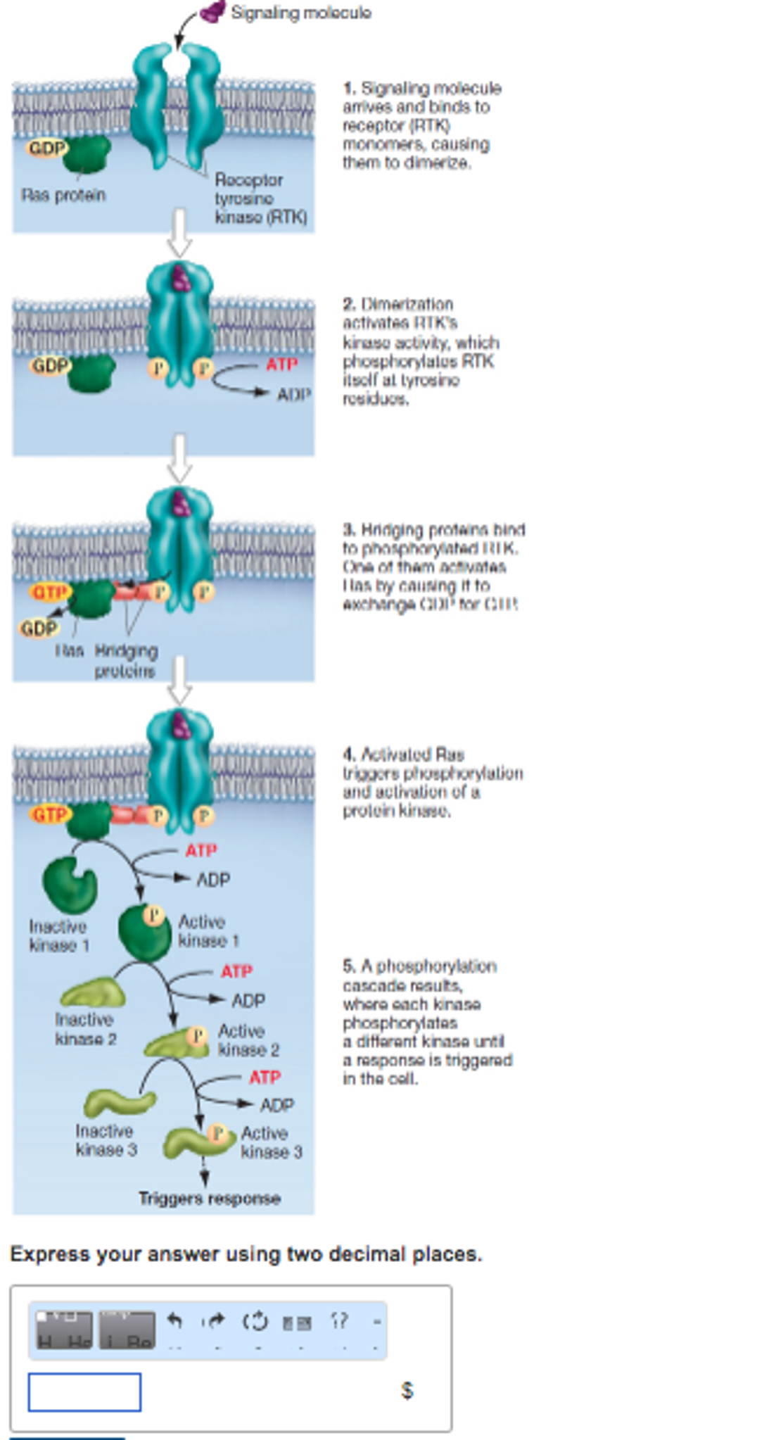 Solved Suppose you were to model amplification by the | Chegg.com