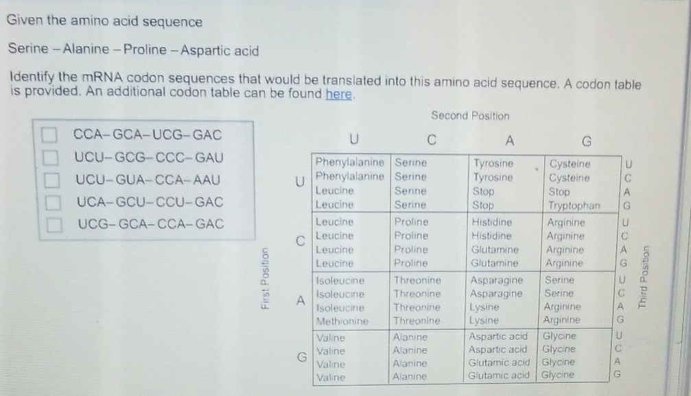 Solved Given the amino acid sequence Serine -Alanine | Chegg.com