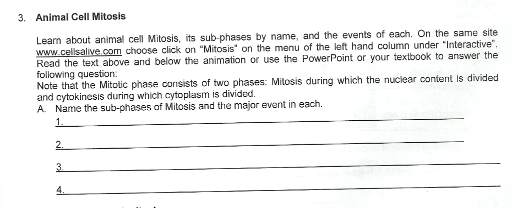 Solved Learn about animal cell Mitosis, its sub-phases by | Chegg.com