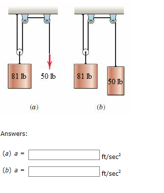 Solved Determine the vertical acceleration of the 81-lb | Chegg.com