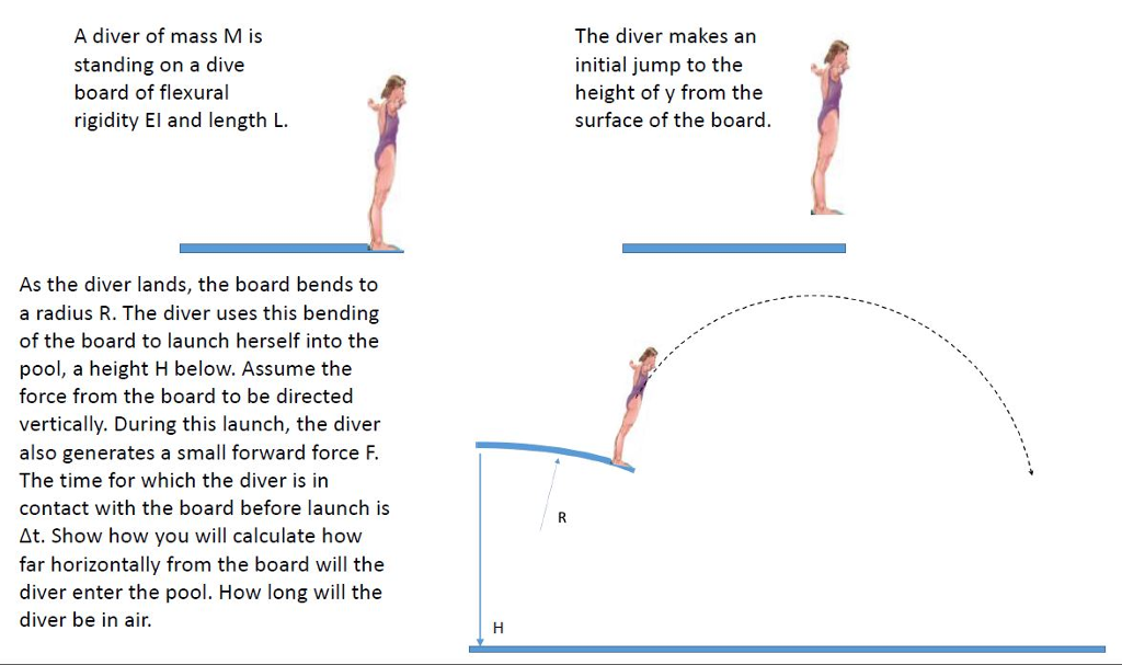 Solved A diver of mass M is standing on a dive board of | Chegg.com