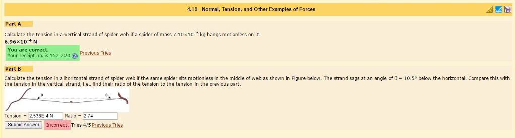 Solved Calculate the tension in a vertical strand of spider | Chegg.com