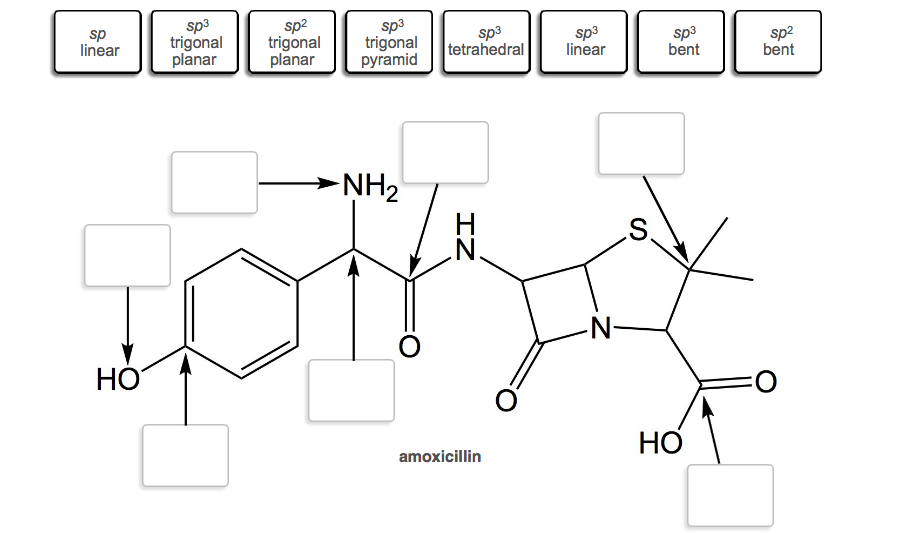 Solved sp linearsp3 trigonal planar sp2 trigonal planer | Chegg.com