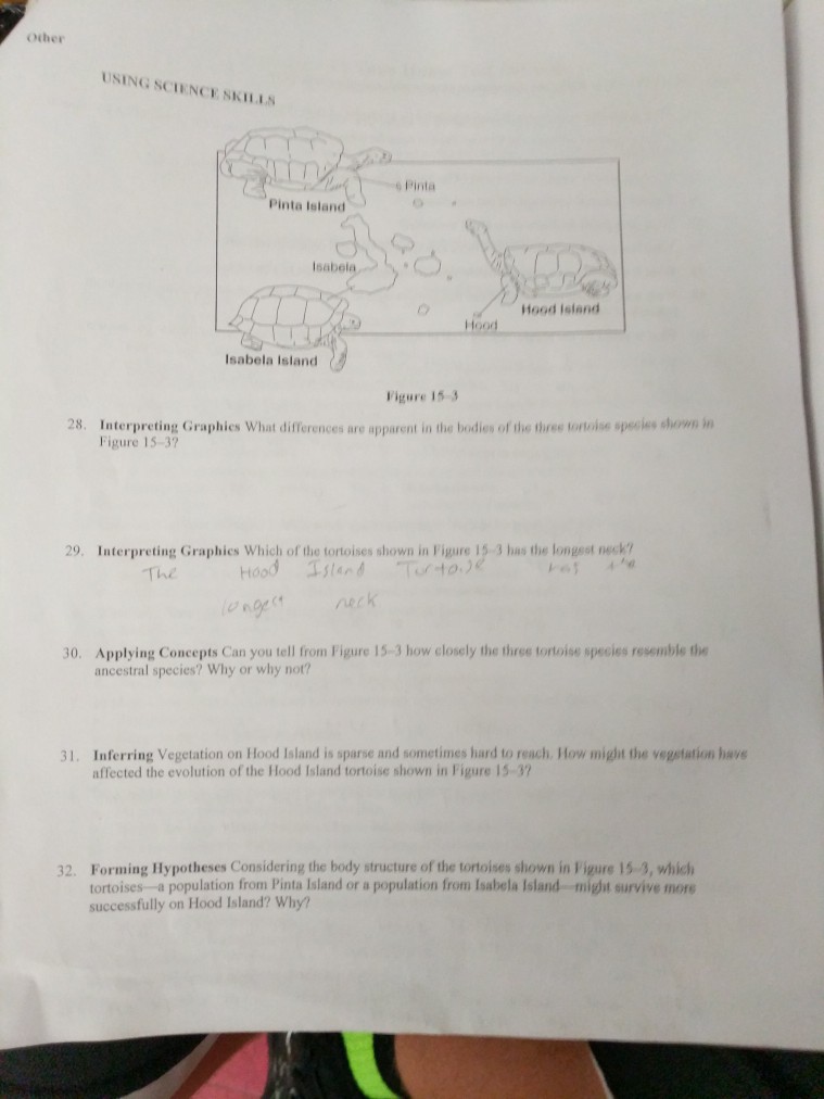 Solved Interpreting Graphics what differences are apparent | Chegg.com