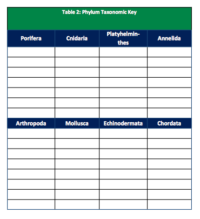 The phylum characteristic table contains all of the | Chegg.com