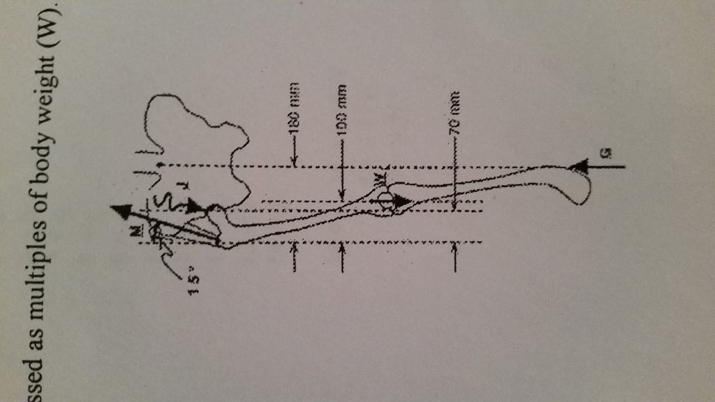 Solved The diagram shows the hip joint and weight bearing | Chegg.com