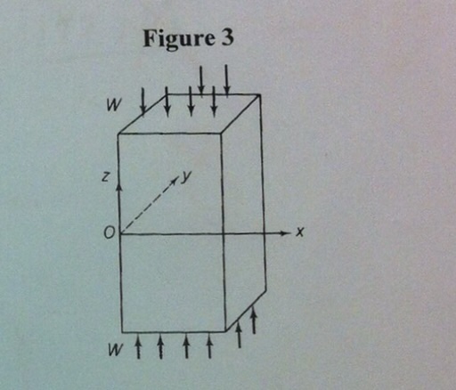 Solved Figure 3 wt t t t | Chegg.com