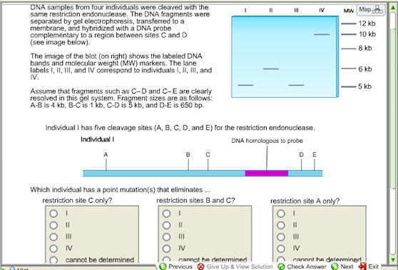Solved DNA samples from four individuals were cleaved with | Chegg.com