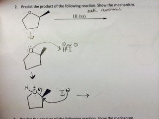 Solved Predict the product of the following reaction. Show | Chegg.com