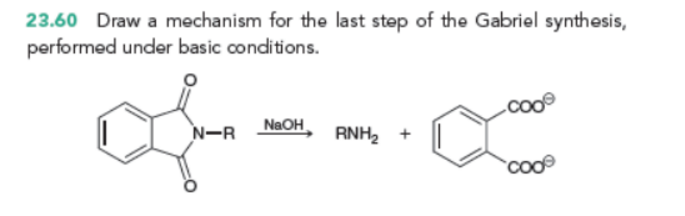 Solved Draw a mechanism for the last step of the Gabriel | Chegg.com