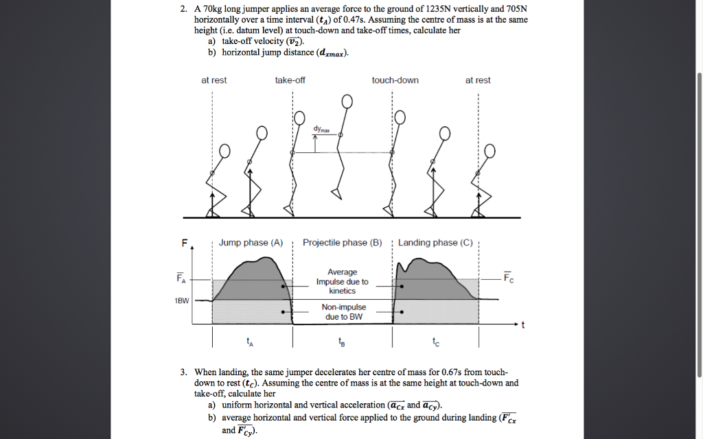 Vertical Jump Phases