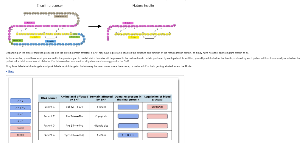 Solved Depending on the type of mutation produced and the | Chegg.com