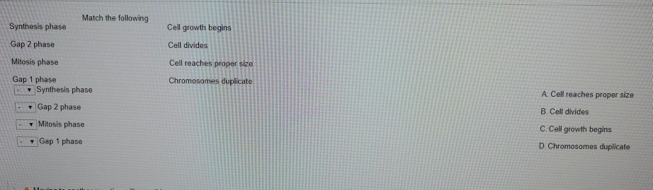 Solved Match the following Synthesis phase Gap 2 phase | Chegg.com