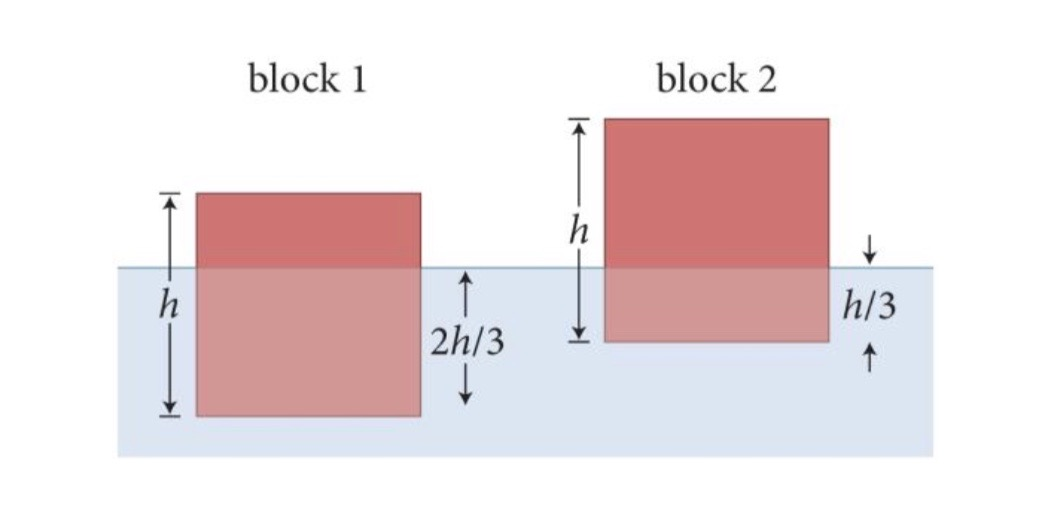 Solved Two same-sized blocks of wood of different mass | Chegg.com