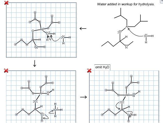Solved Water added in workup for hydrolysis. Complete the | Chegg.com