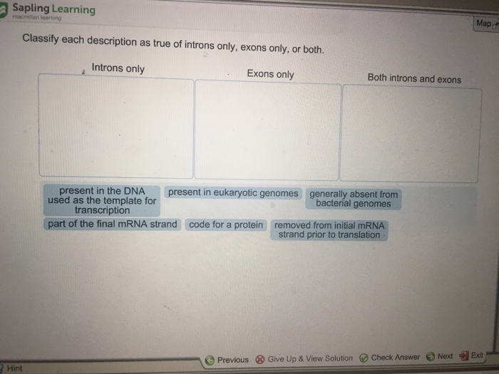 Solved Classify each description as true of introns only, | Chegg.com
