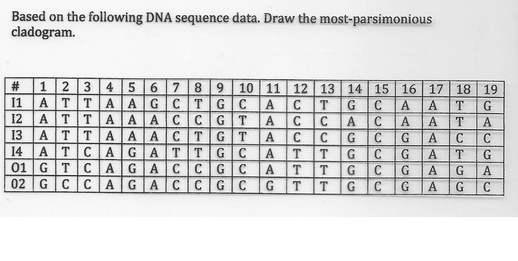 Solved Based on the following DNA sequence data. Draw the | Chegg.com
