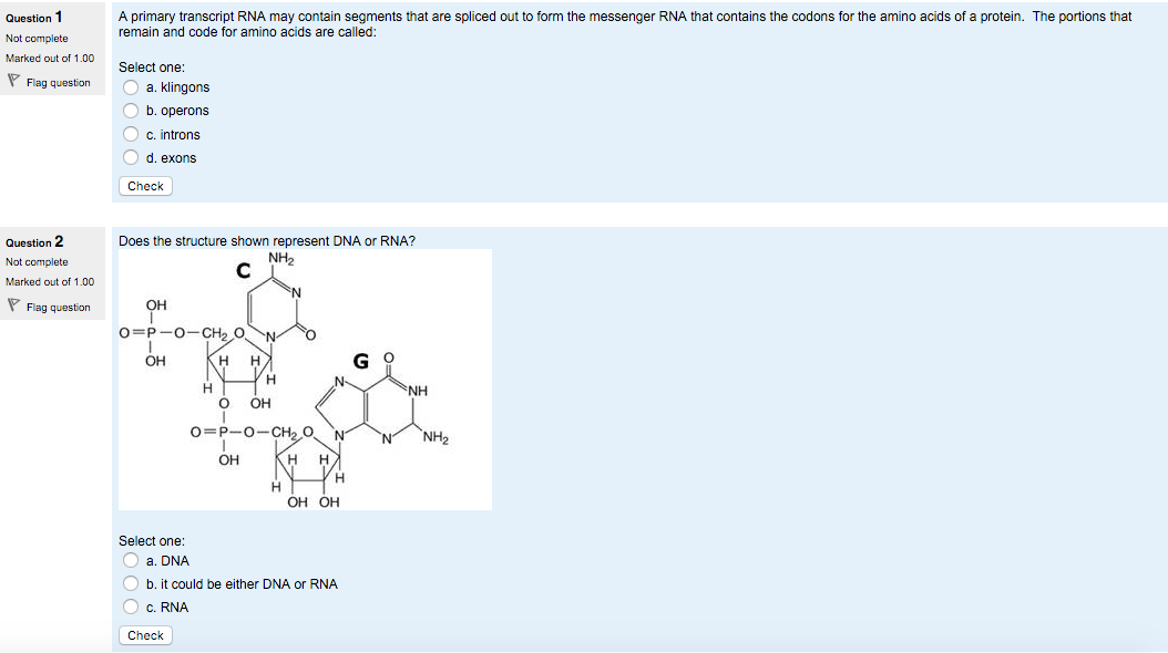 Solved A primary transcript RNA may contain segments that | Chegg.com