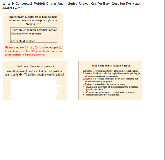 Solved Note: Write 14 Conceptual Multiple Choice And | Chegg.com