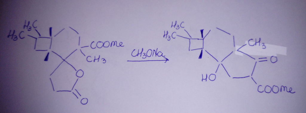 Solved H3C CH coome ク coome /ベ | Chegg.com