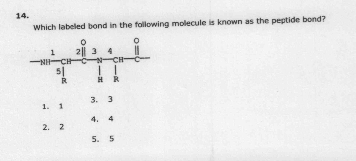 Solved 14. which labeled bond in the following molecule is | Chegg.com
