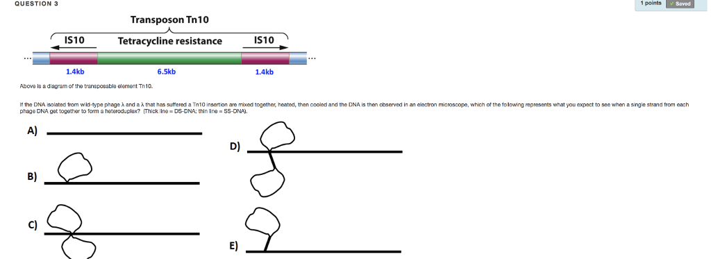 Is10 Printable Form - Printable Forms Free Online