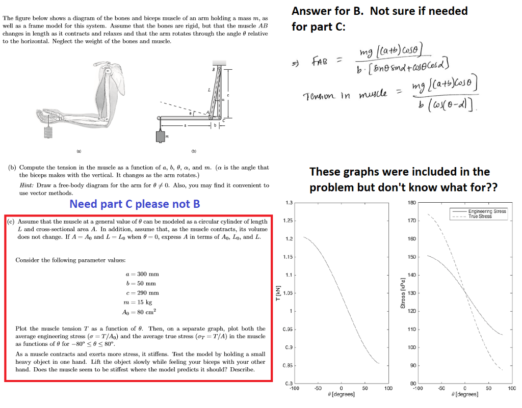 Answer For B Not Sure If Needed The Figure Below Chegg answer-for-b-not-sure-if-needed-the-figure-below-chegg
