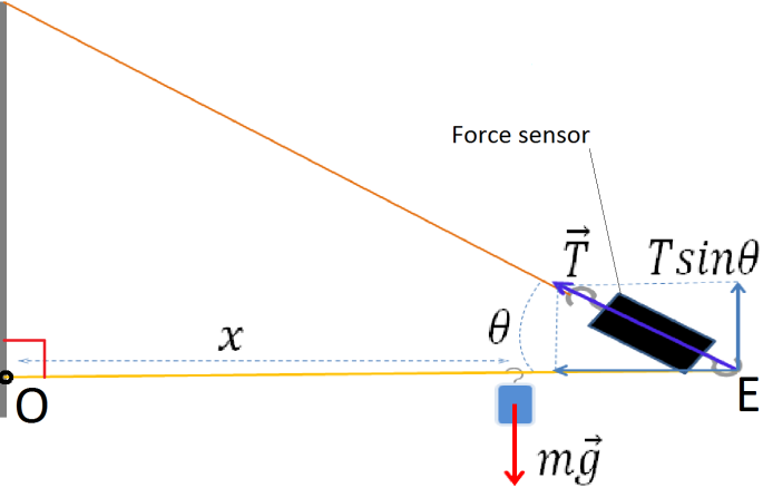 Solved List the torques in action when we consider the | Chegg.com