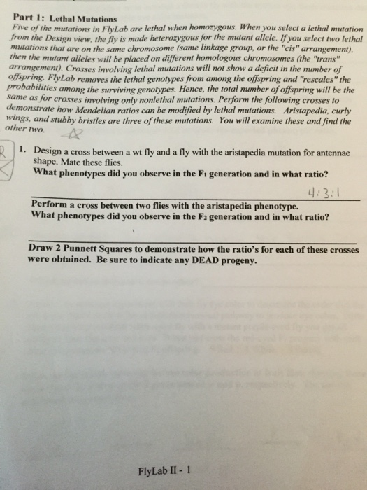 Solved Five of the mutations in FlyLab are lethal when | Chegg.com