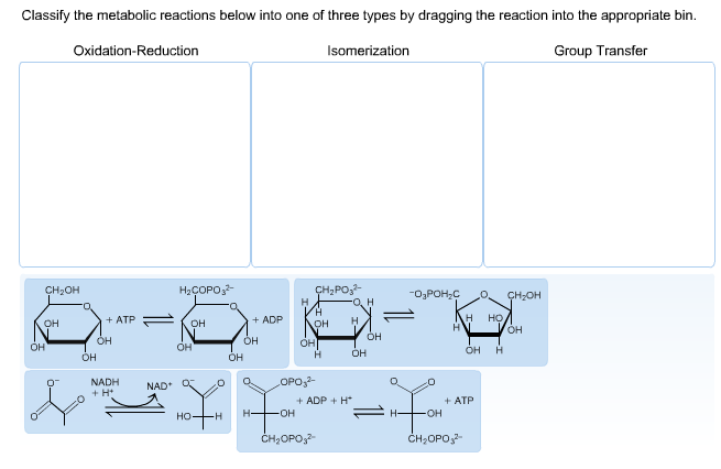 Solved Classify the metabolic reactions below into one of | Chegg.com