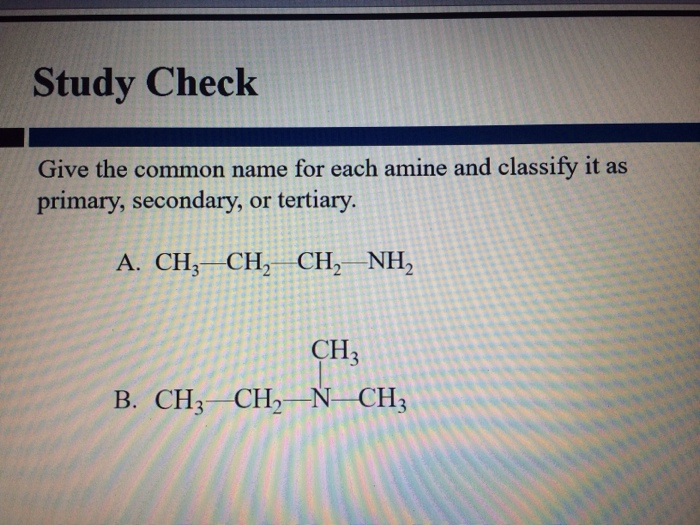 Solved Give the common name for each amine and classify it | Chegg.com