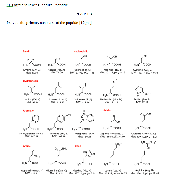 Solved For the following "natural" peptide: H-A-P-P-Y | Chegg.com