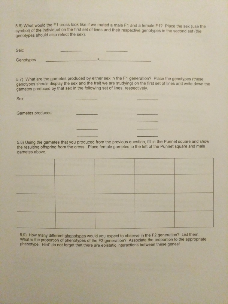 Solved 5) Epistatic cross: In this cross there are two genes | Chegg.com