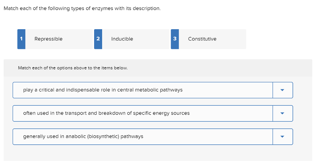 Solved Match each of the following types of enzymes with its | Chegg.com