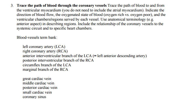 Solved Trace the path of blood through the coronary vessels | Chegg.com