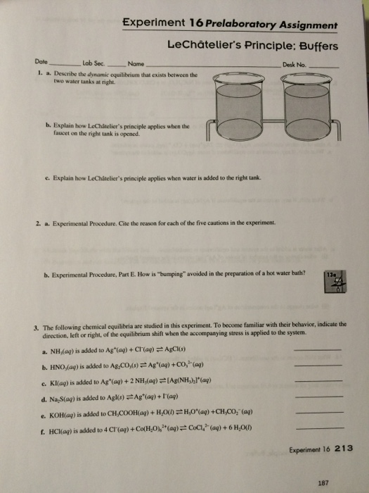 Describe the dynamic equilibrium that exists between | Chegg.com