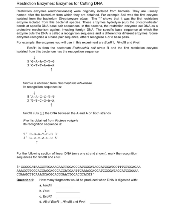 Solved Restriction enzymes (endonucleases) were originally | Chegg.com
