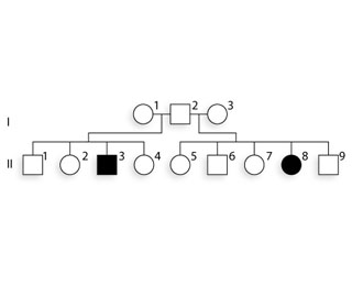 Solved The pedigree below shows the transmission of albinism | Chegg.com